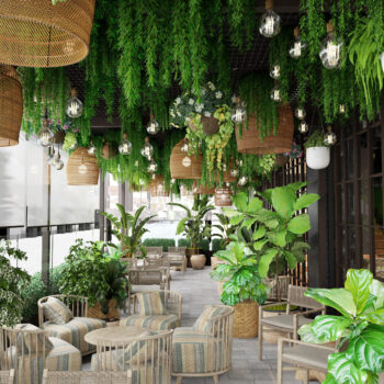 Interior Swimming Pool Carroll Design